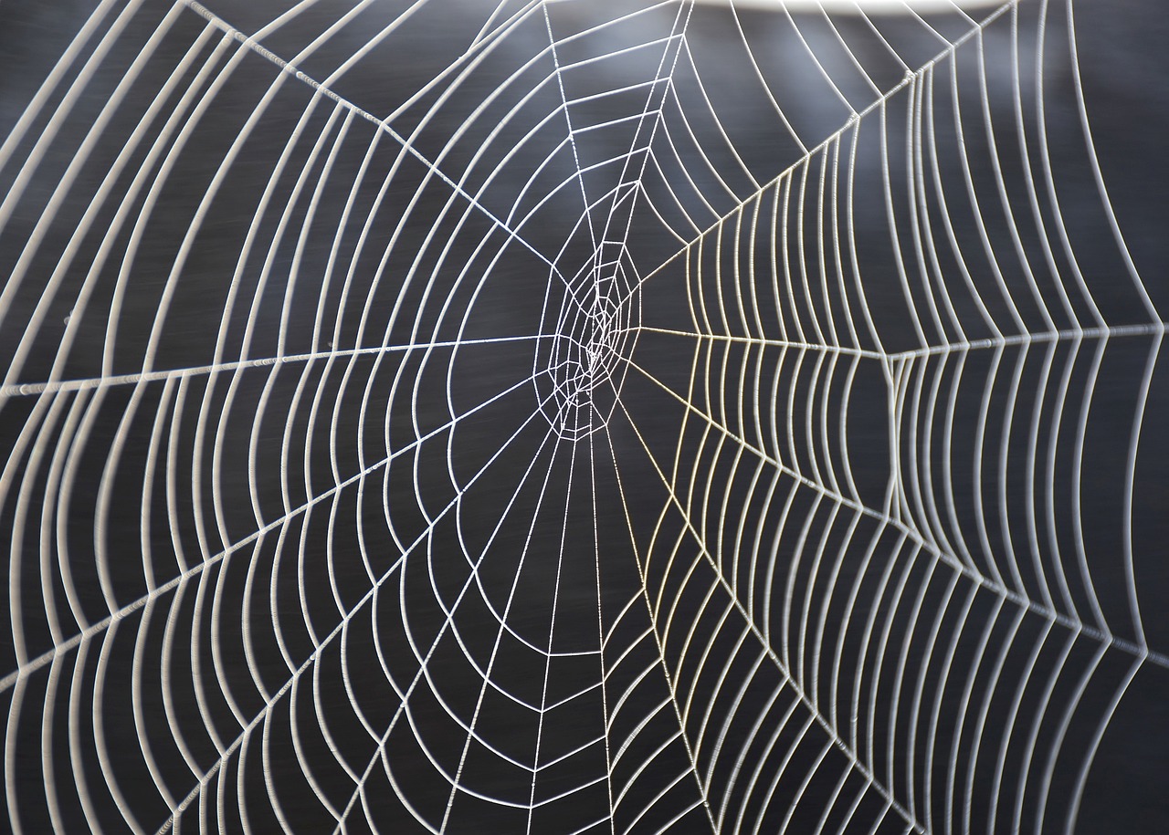 Spinnenweb maken met zout en Aquatint » Crea met kids